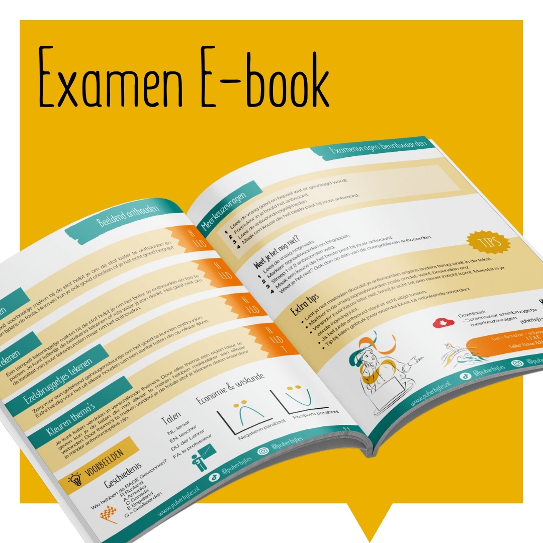 Slim leren voor de examens e-book - pUber bijles & coach